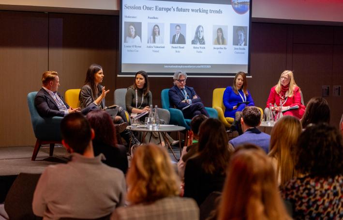 International Employment Lawyer